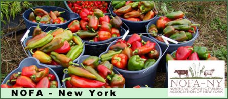 Northeast Organic Farming Association – The Northeast Organic Farming Association is a non ...